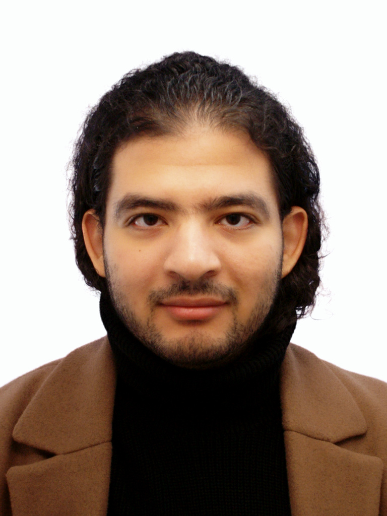 Faculty Profiles - AHMED Eslam sabry mohamadean abdulmageed